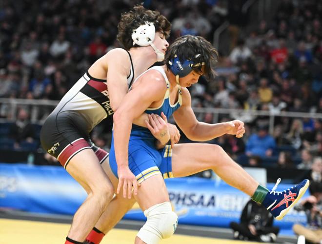 Burnt Hills-Ballston Lake's Liam Carlin wins 145-pound state wrestling ...