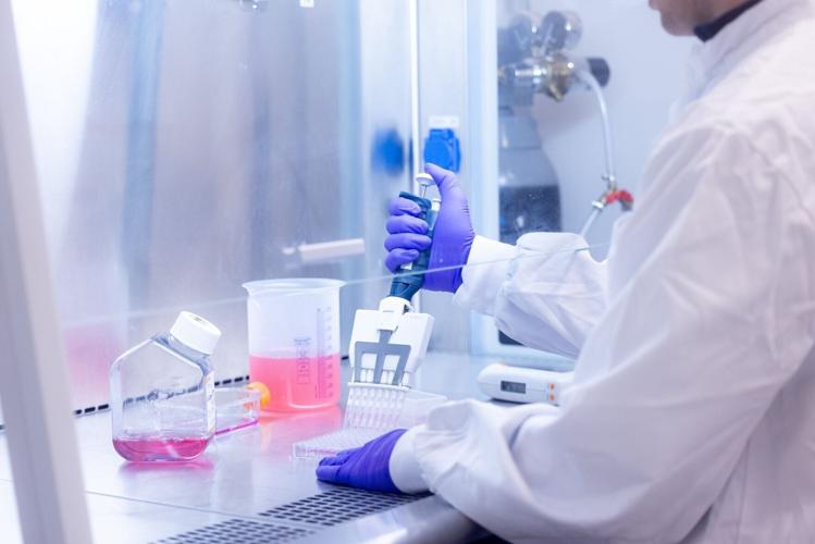 Inside the laboratory working on a hantavirus vaccine | Health ...