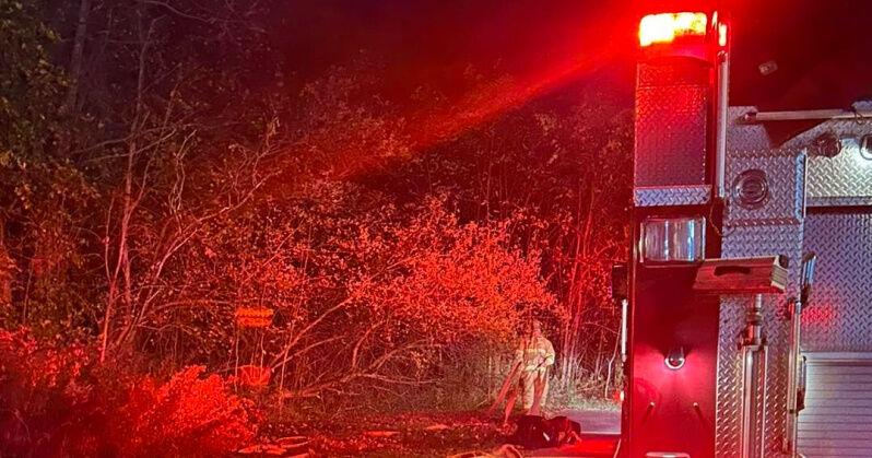 Fort Johnson brush fire put out amid statewide fire risk | News ...