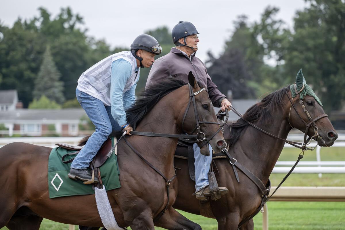 Sovereignty towers over five-horse field as 2-5 favorite in 156th ...
