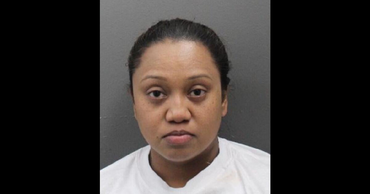 Rotterdam woman convicted of 14 felonies for welfare fraud | Courts ...
