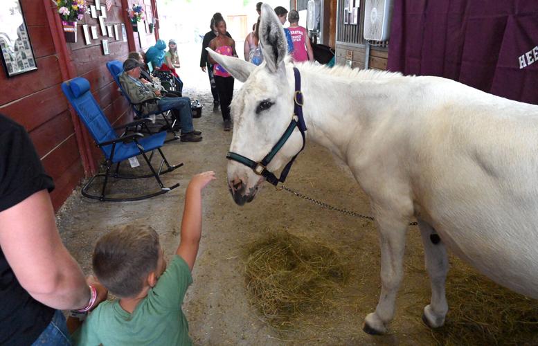 When Capital Region 2025 county fairs are happening | News ...
