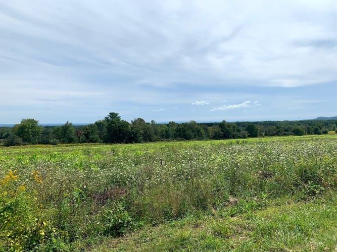 Land conservancy group eyes former Bender farm for $1.2M purchase ...