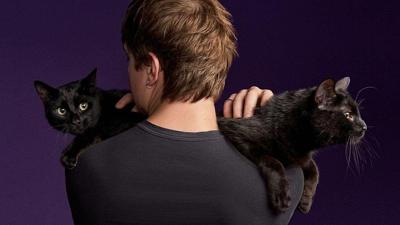 6 assumptions that could keep you from being a great cat dad | Pets ...