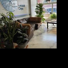 Catskill Cryo celebrates fifth anniversary | Hudsonvalley360.com ...