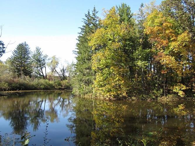 Home invasion: Housing developments planned to surround Five Rivers ...
