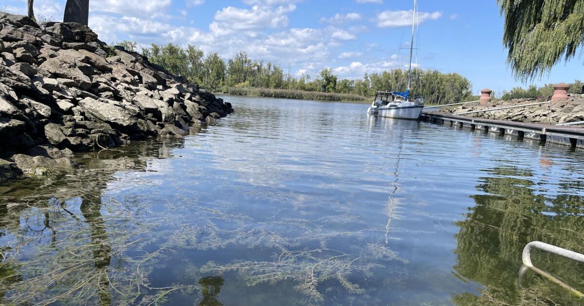 Algae blooms reported in Hudson River near Hudson, Catskill | News ...