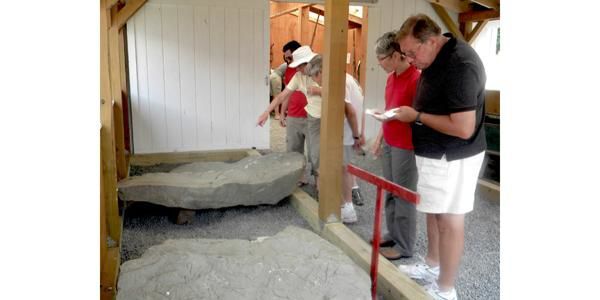 Tiny Gilboa Museum Is Home To Intriguing Fossil Exhibit | News ...