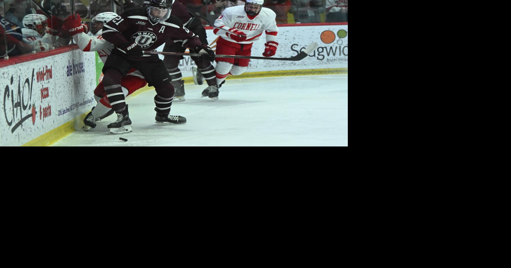 Buhr's hat trick, Chauvette's 30-save effort help Union men's hockey ...