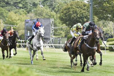 Saratoga Notebook: Twisted Tom back on hometown track | Sports ...