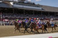 NYRA still assembling the parts of the Saratoga racing calendar — A ...