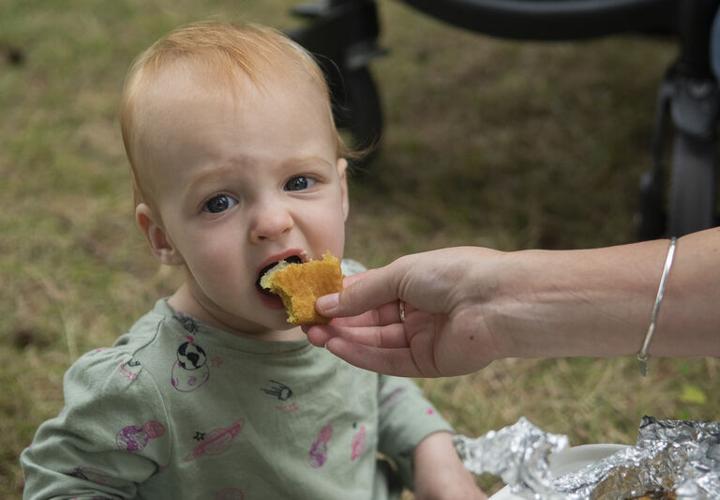 Images: Congregation Agudat Achim Sunday in Niskayuna (13 photos ...