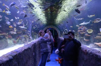 New attractions have ViaPort Rotterdam on upswing | News | dailygazette.com