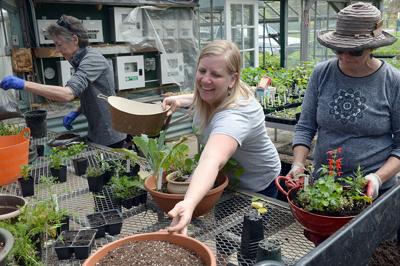 Cornell Cooperative Extension turns 100 | Life & Arts | dailygazette.com