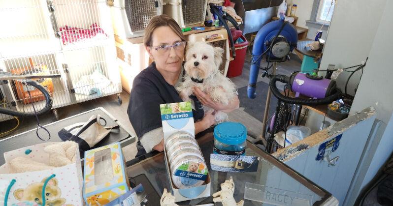 At Perth's TLC Grooming, Tracey Ray takes pride in service | Leader ...