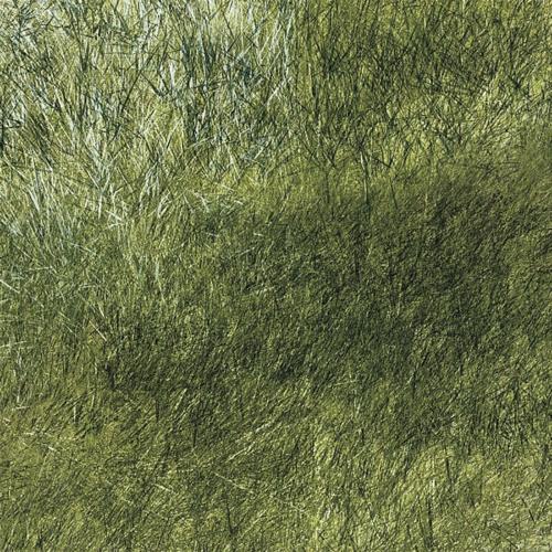 Hudson Hall presents DAVID MCINTYRE: WALKING and JODI MELNICK & MAYA ...