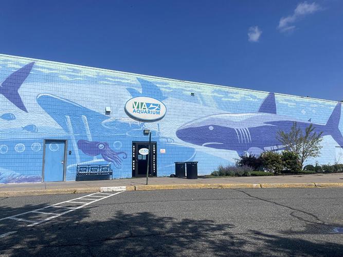 Try it! — Aquarist for a day at Via Aquarium in Rotterdam (Video, 7 ...