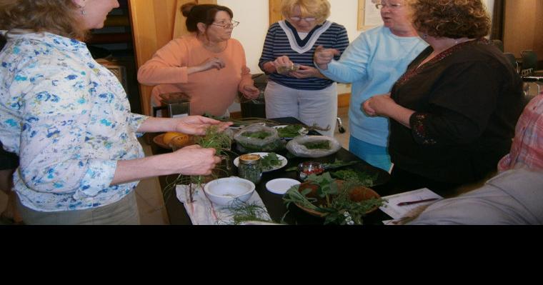 Herb sampling | | dailygazette.com