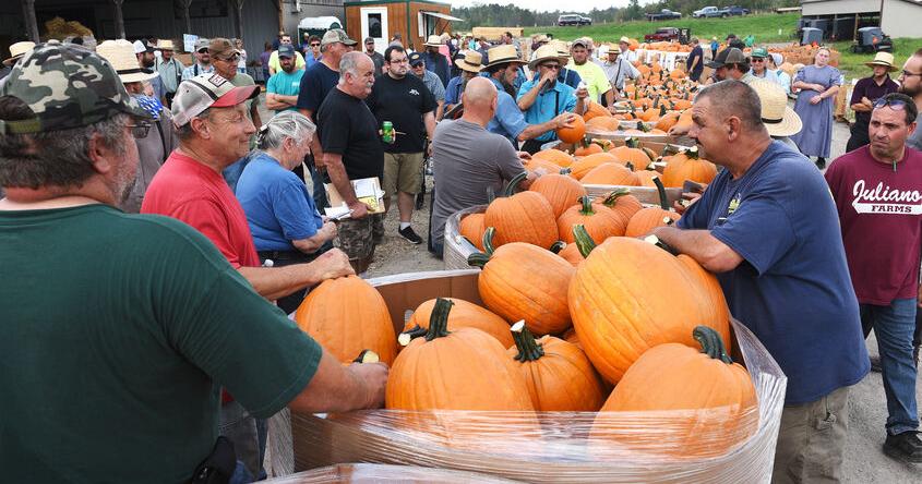 Images: 12th annual special pumpkin auction at Mohawk Valley Produce ...