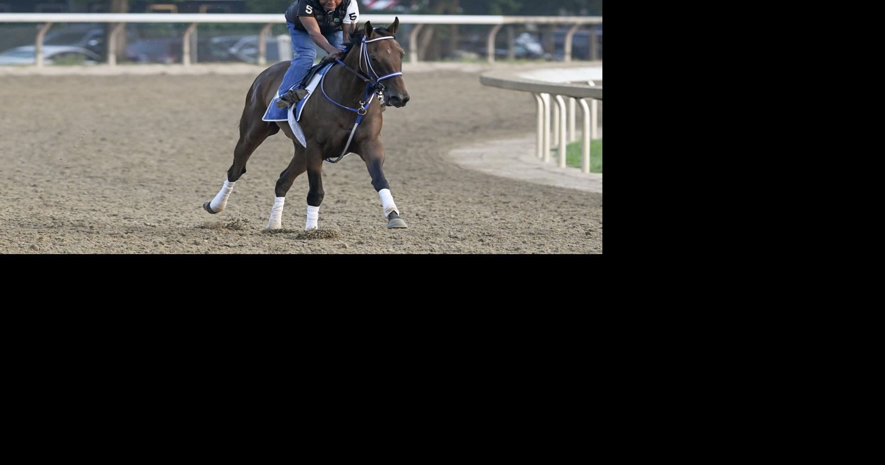 Oklahoma Training Track at Saratoga Race Course will open on April 19 | At The Track ...