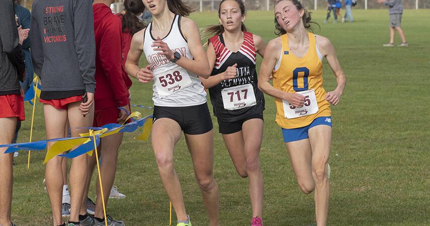 Scotia-Glenville girls claim first-ever cross country title | Sports ...