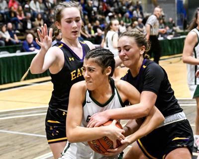 Duanesburg girls' basketball holds on to reach title game | Sports ...
