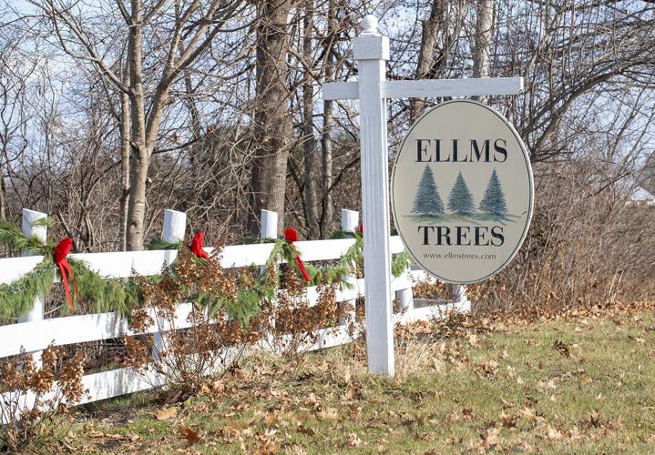 Getting to Know: Garth Ellms, Ellms Family Farm in Ballston | Saratoga ...