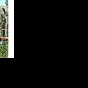 Swinging Bridge project takes 2 steps forward | | dailygazette.com