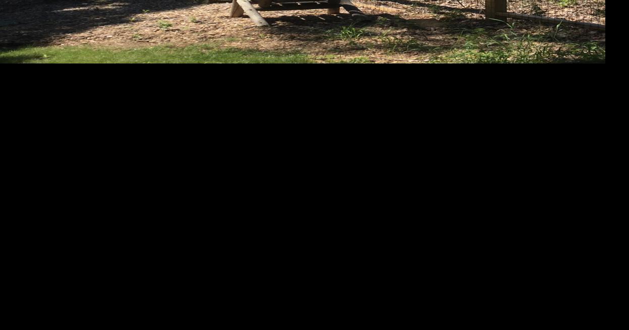 Fahnestock State Park, scenic camping in Hudson Valley | News ...