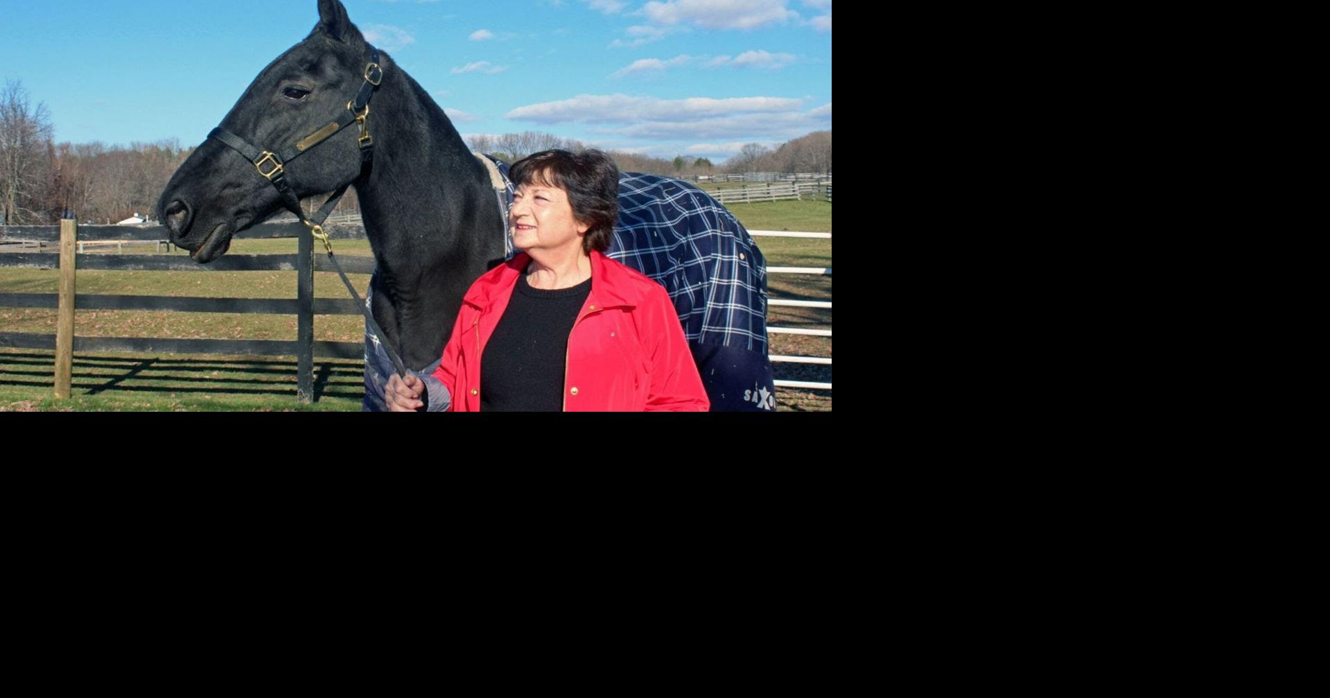 Caisson horses special guests at Equine Advocates Veterans Day ...