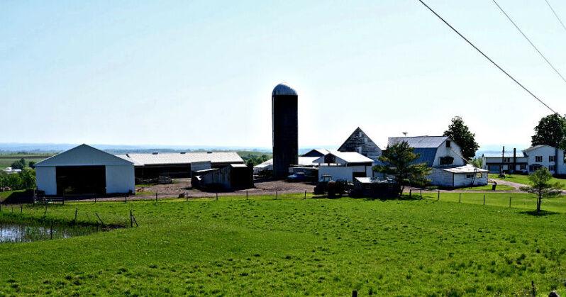 New consumer alert for Fort Plain's Hu-Hill Farm raw milk | News ...
