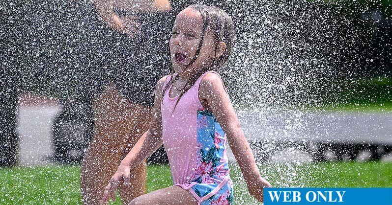 Fun at Scotia’s Collins Park splash pad Tuesday – Images (4 photos ...