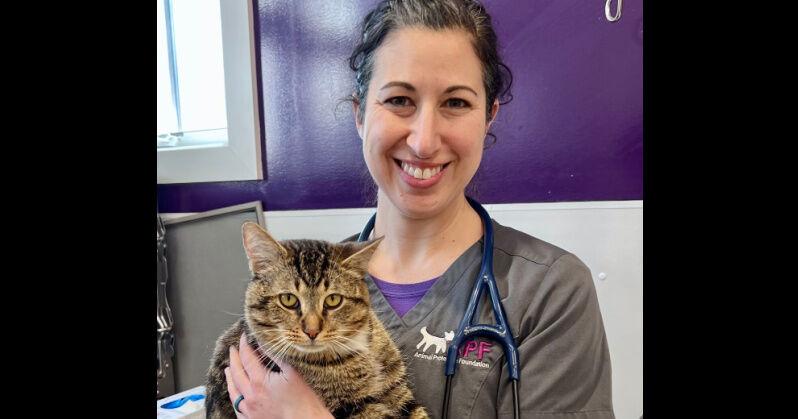 Shedding some daylight on feline fix by 5 months | Life & Arts ...
