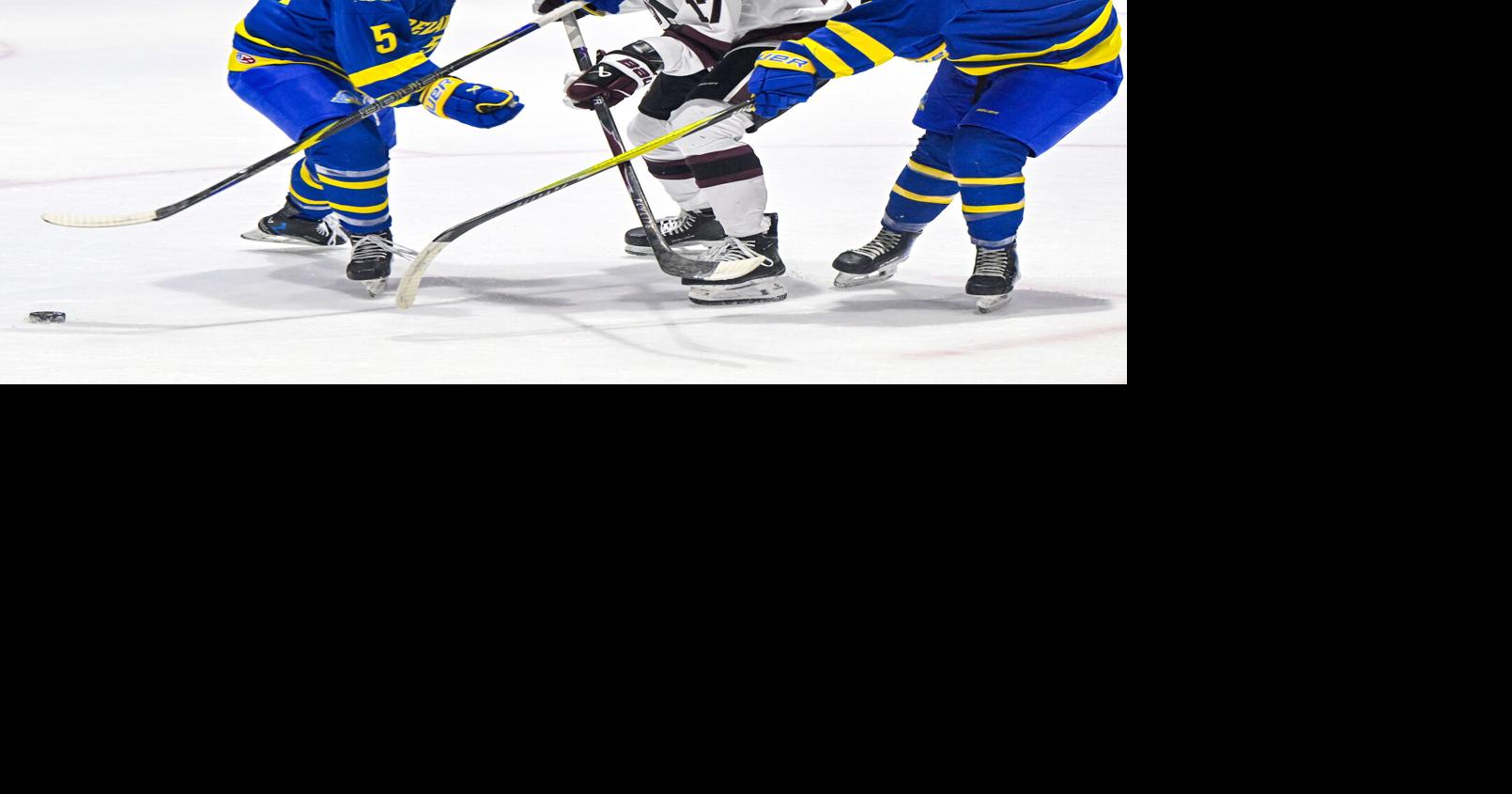 Petford's late third-period goal lifts Colgate women's hockey past ...
