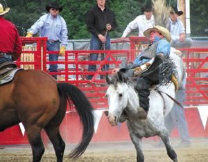 Rodeo, cook-off conclude Fair | | dailygazette.com