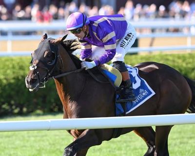 Tawny Port could be headed Down Under after Belmont Gold Cup win ...
