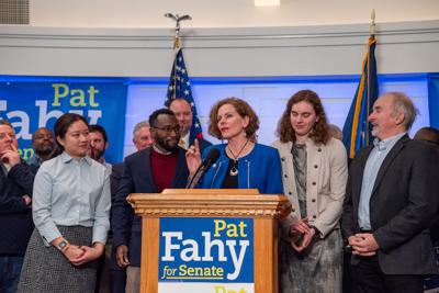 State Assemblymember Pat Fahy launches campaign for 46th state Senate ...
