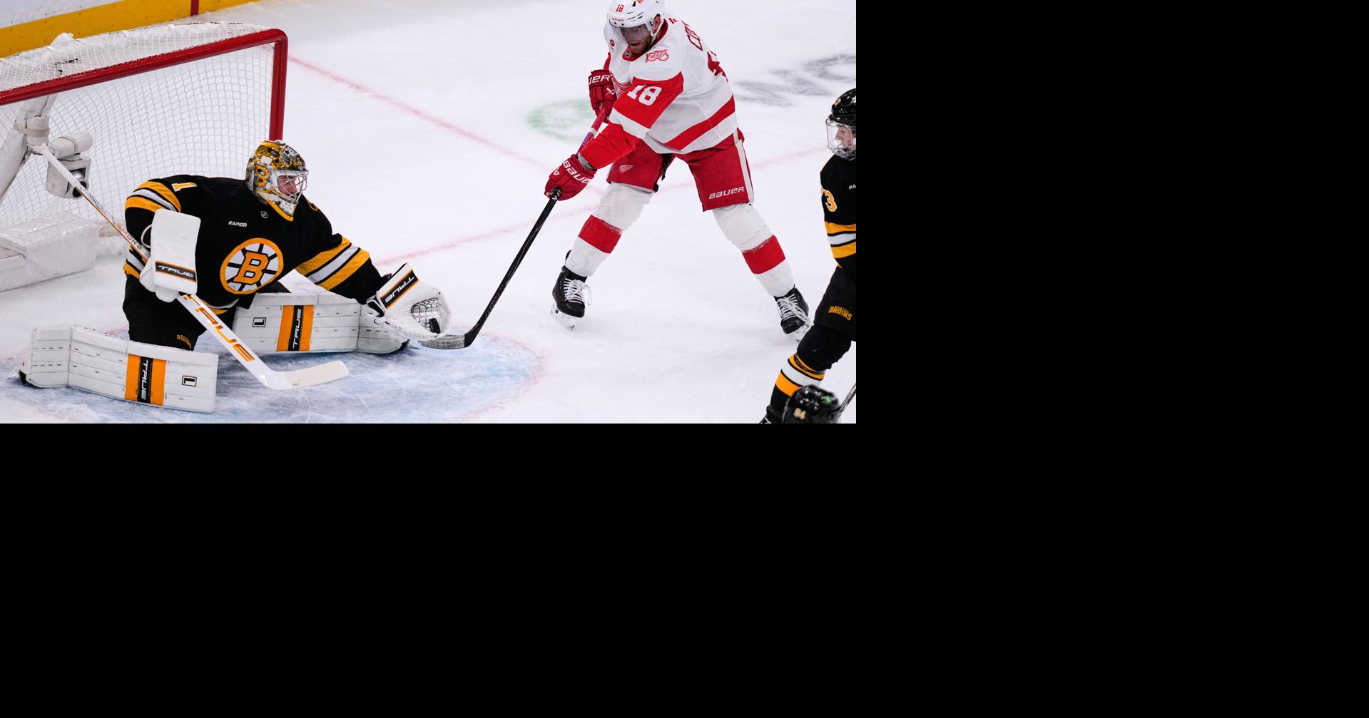 Swayman stops 24 shots for 1st shutout of season as Bruins beat Red ...