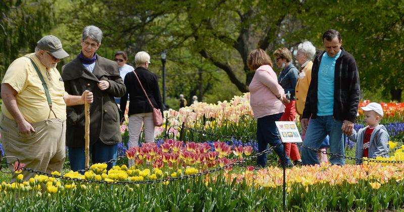 Guster, American Authors set to play Albany Tulip Festival | Ticket ...