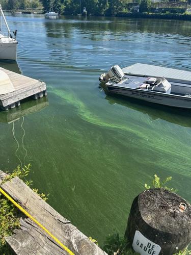 Harmful Hudson River algae blooms grow, Riverkeeper says | News ...