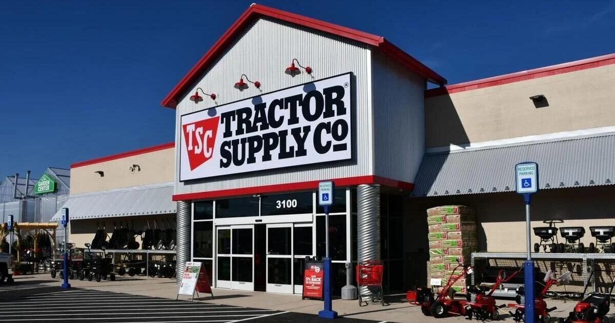 Ace Hardware, Tractor Supply propose sites in Rotterdam | Business ...