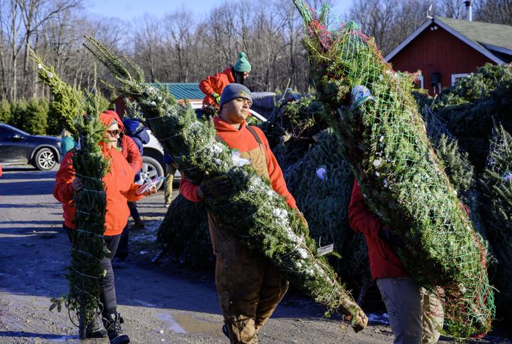 Ellms Farms, FedEx Trees for Troops in 9 photos | Business ...