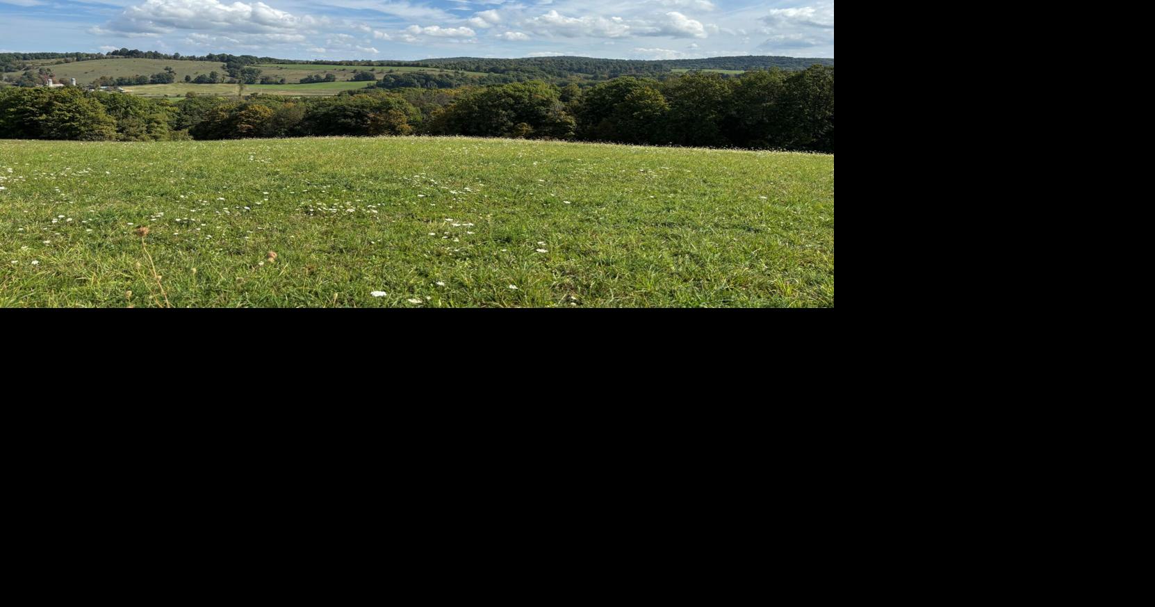 CLC works with Gallatin landowner to protect property | Hudsonvalley360 ...