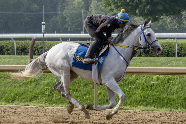 Whitney field taking shape, will be drawn on Sunday | Horse Racing ...