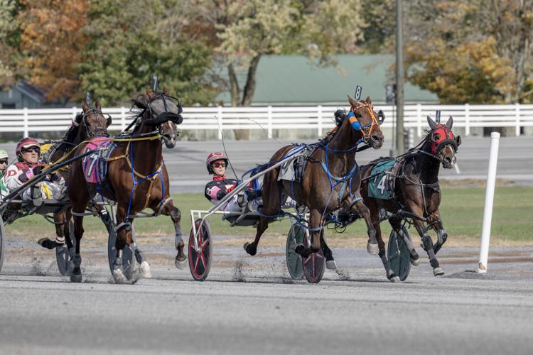 Saratoga barn fire: Horses to be remembered in memorial service | Horse ...