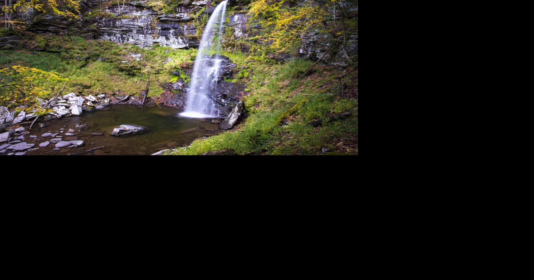 Catskill Center earns renewed accreditation | Hudsonvalley360.com ...