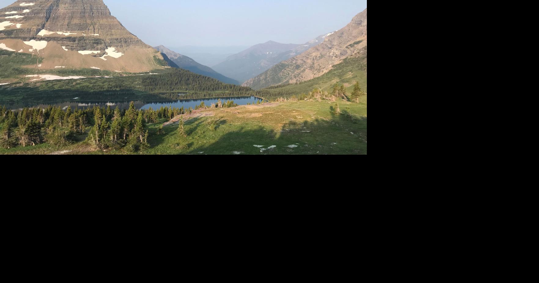 Bear attack likely kills a hiker in Glacier National Park for the first ...
