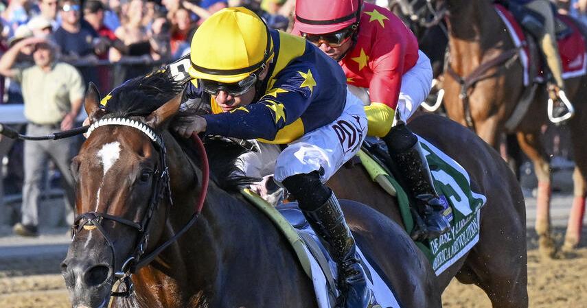 Olympiad rebounds from dull Whitney to win Jockey Club Gold Cup ...