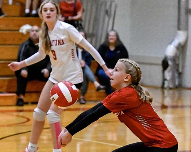 Niskayuna girls' volleyball takes on Shaker - Images (5 photos) | Photo ...