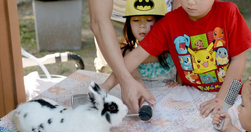 Schenectady JCC festival brings community together for Jewish New Year ...